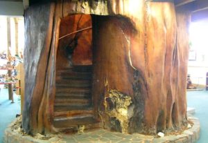 Ancient Kauri | Artisan Dice